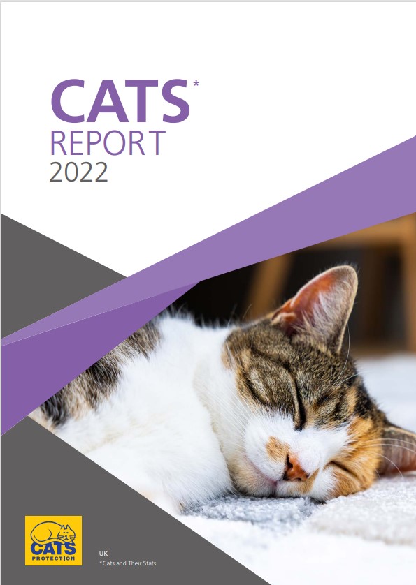 CATS Report 2022 – Wood Green Personas